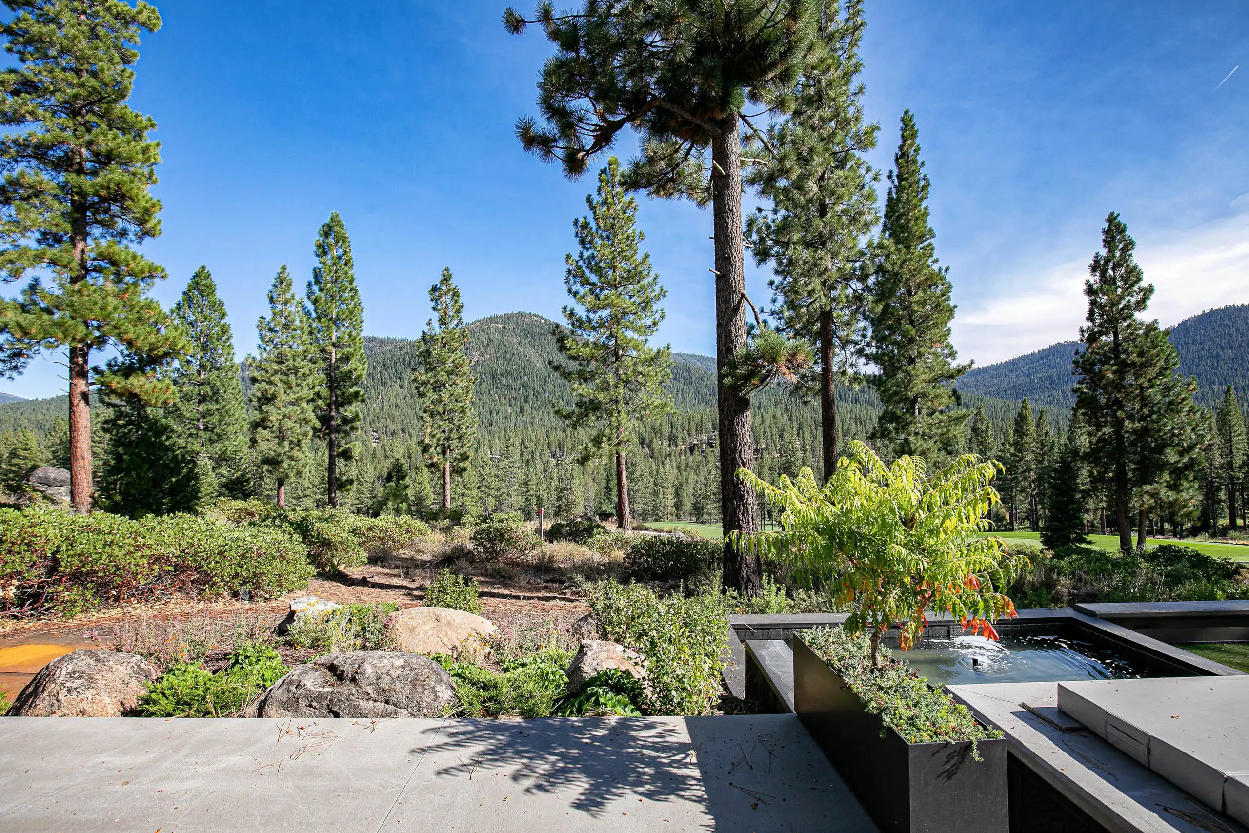 Trust Our Landscape Architect's Expert Eye to Transform Your Reno, NV Home